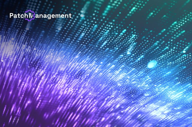 What Is Vulnerability Management: Everything You Need to Know – Patch ...